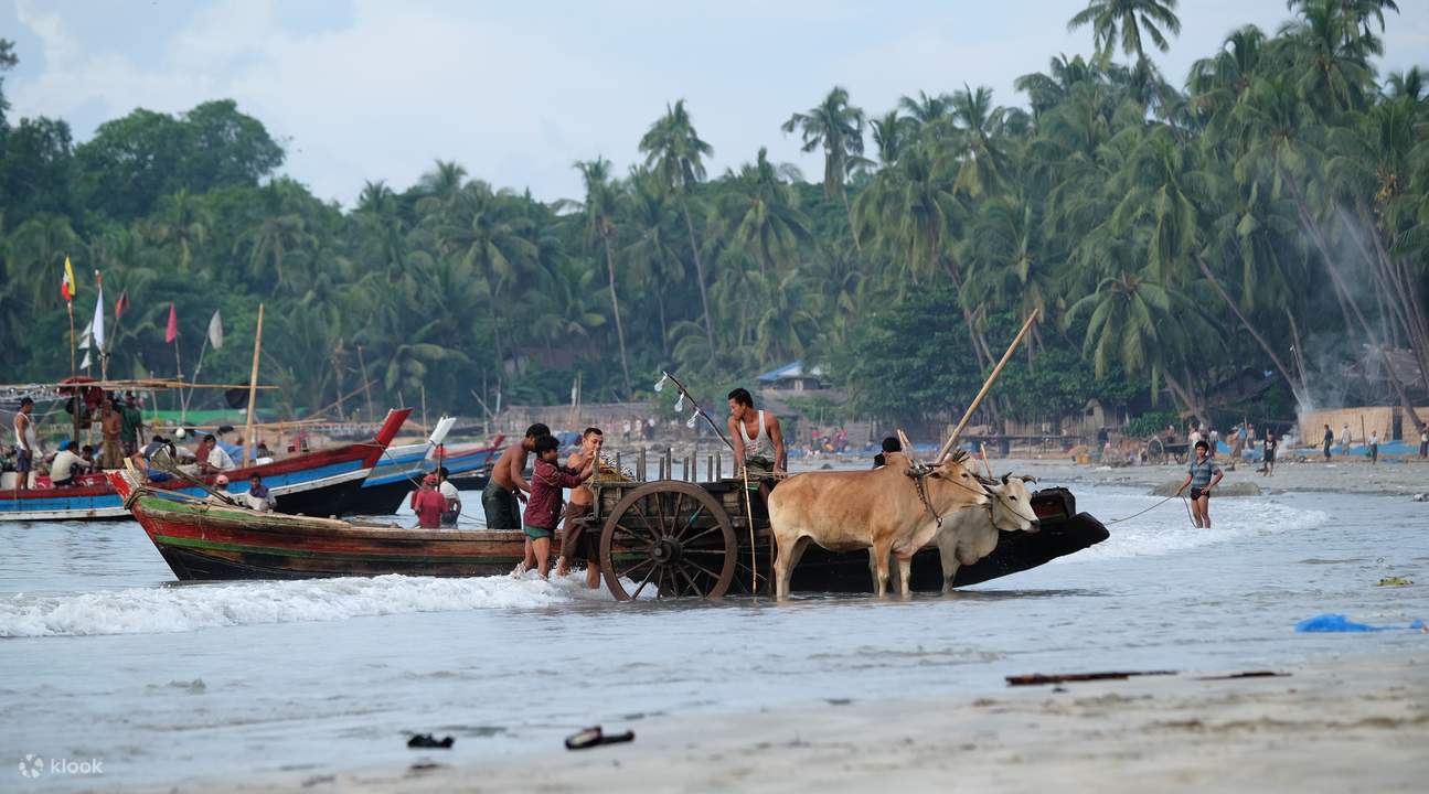 Fishing Village Sunrise Sightseeing Private Tour - Ngapali, Myanmar ...