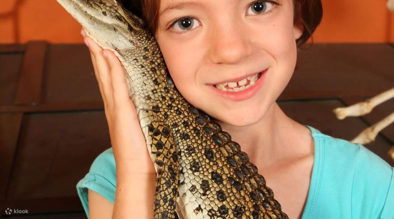 Big Croc Feed Experience and Guided Tour - Klook