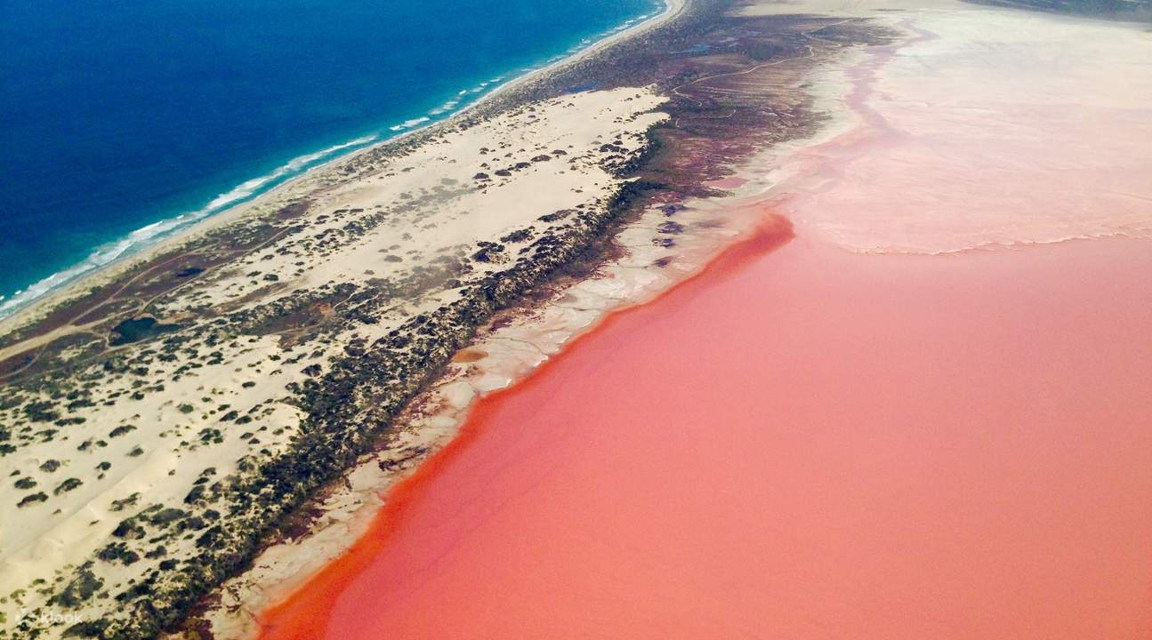 Pink Lake Aerial Sightseeing Tour from Geraldton - Klook