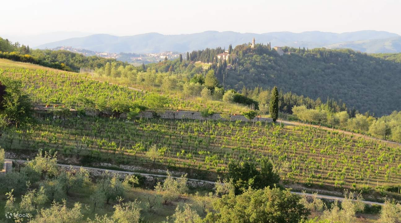 Il meglio della Toscana con pranzo in un vigneto del Chianti - Klook ...