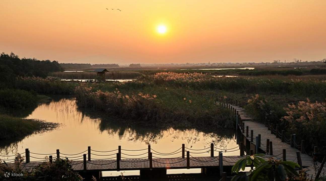 Nansha Wetland Park in Guangzhou - Klook Canada
