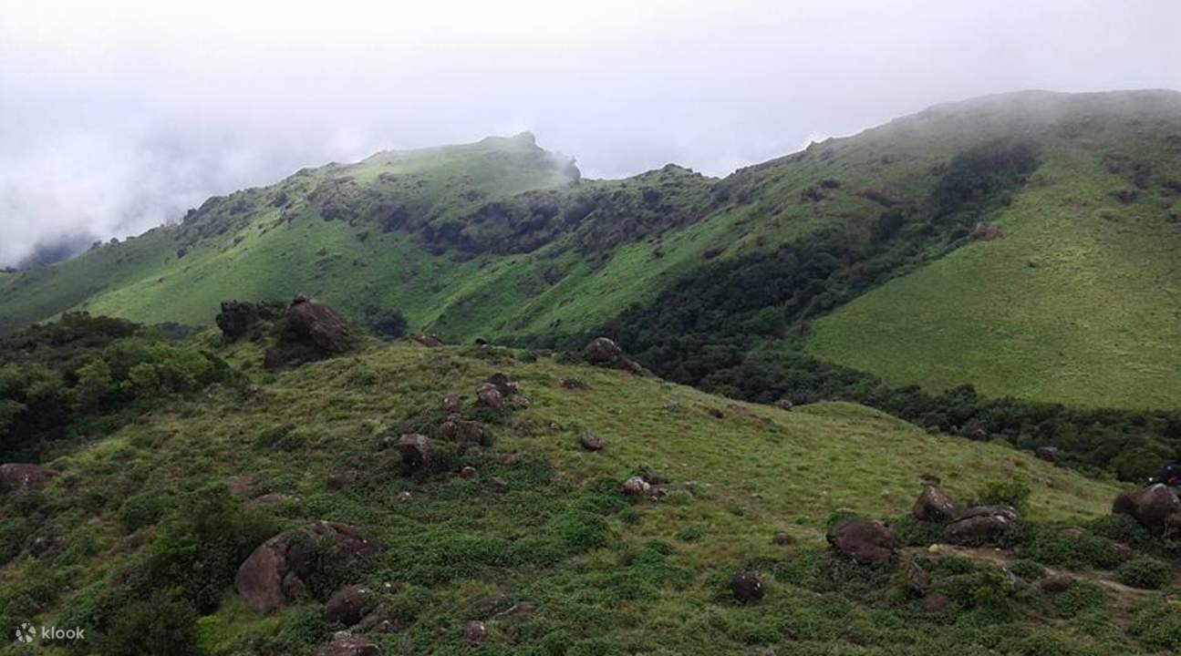 Trek To The Highest Peak Of Coorg - Tadiyandamol - Klook Canada