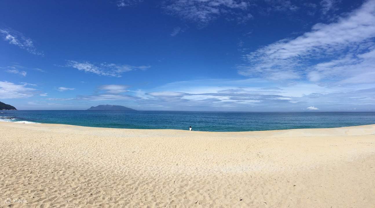 YAKUZARU Sightseeing Bus: Yakushima Island Full Day Tour - Klook United ...