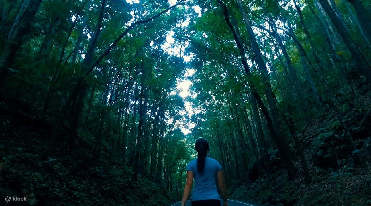 Bohol Countryside Tour - Klook Philippines