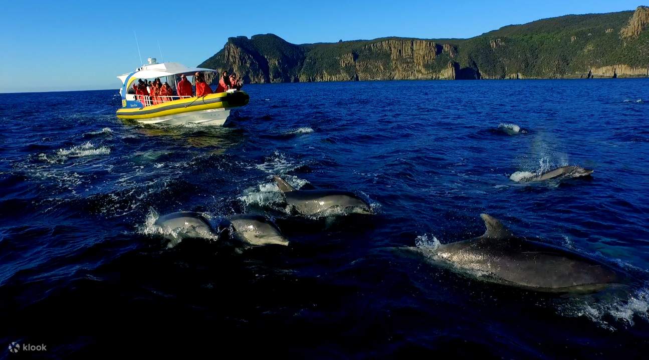 Tasman Island Experience - Klook