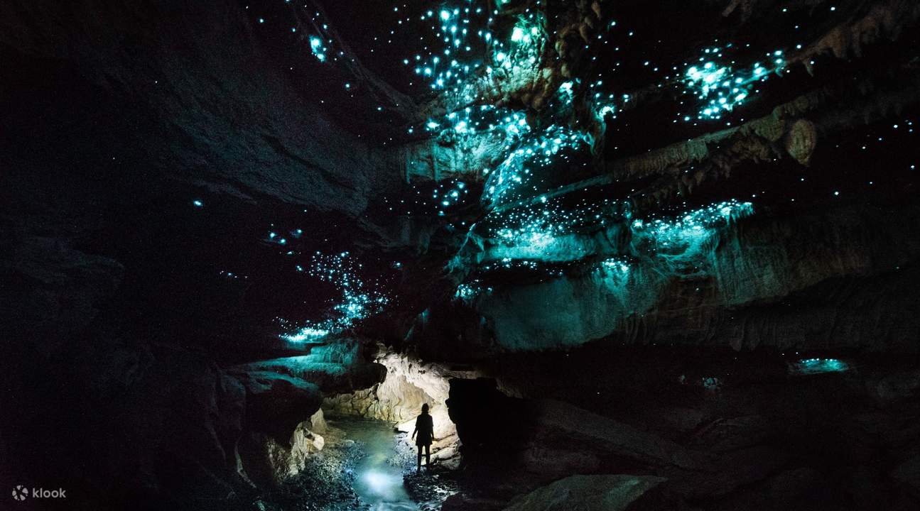 Off the Beaten Track Glow Worm Guided Eco Tour in Waitomo - Klook