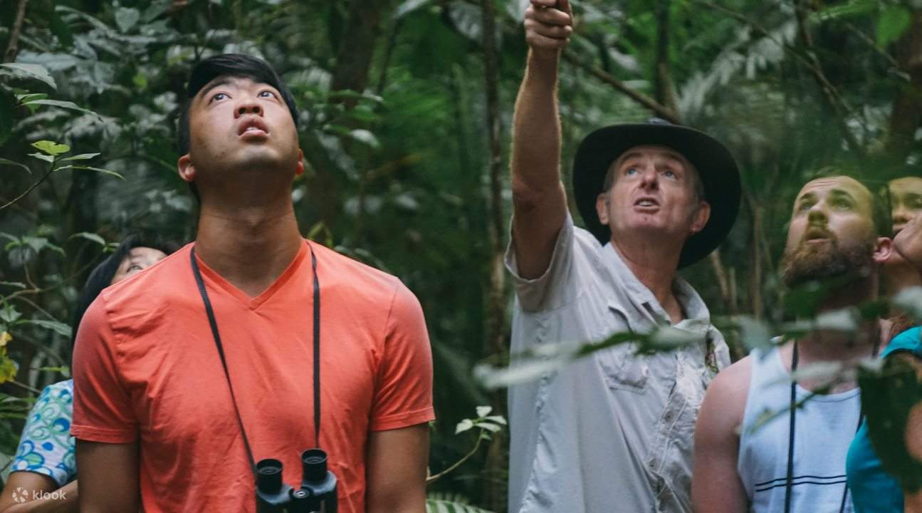 Rainforest and Nocturnal Wildlife Guided Day Tour from Cairns - Klook