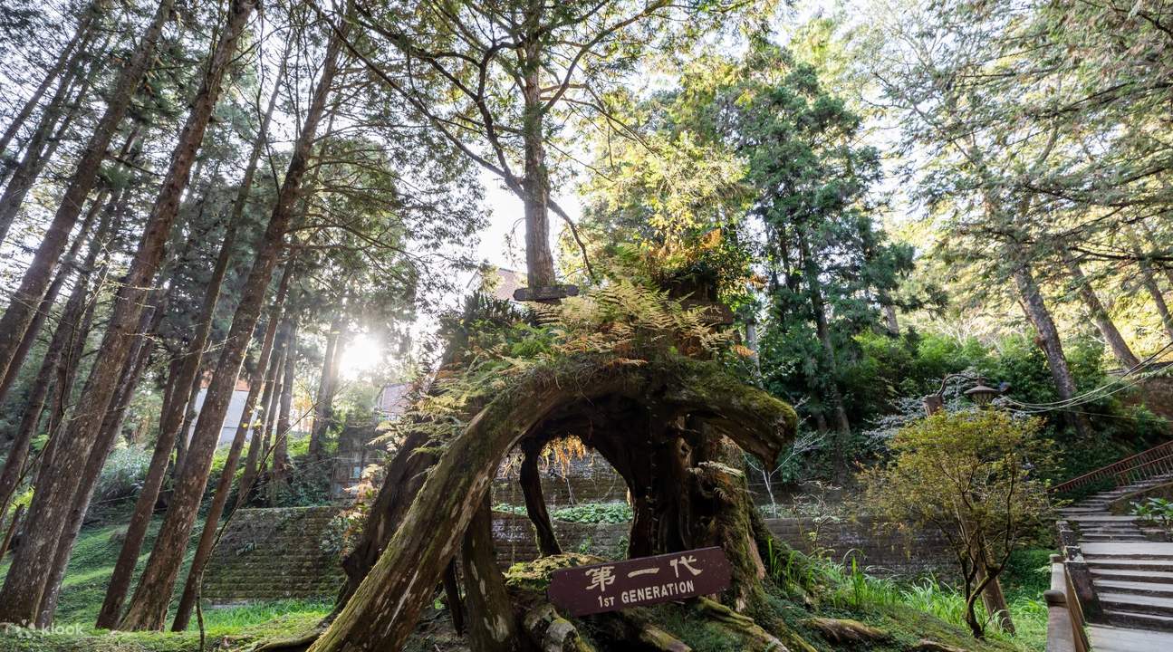 Alishan Forest Railway Day Tour, Taichung, Taiwan - Klook Singapore