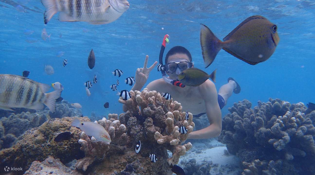 Saipan Managaha Island Water Sports Adventure - Klook