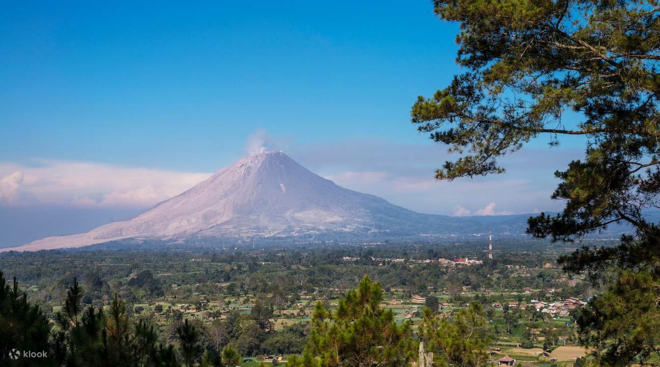 Private Medan Custom Full Day Trip - Klook United Kingdom