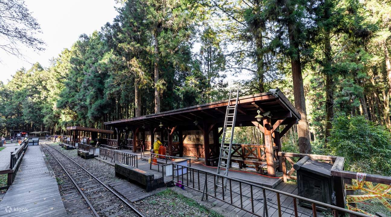 Alishan Forest Railway Day Tour, Taichung, Taiwan - Klook