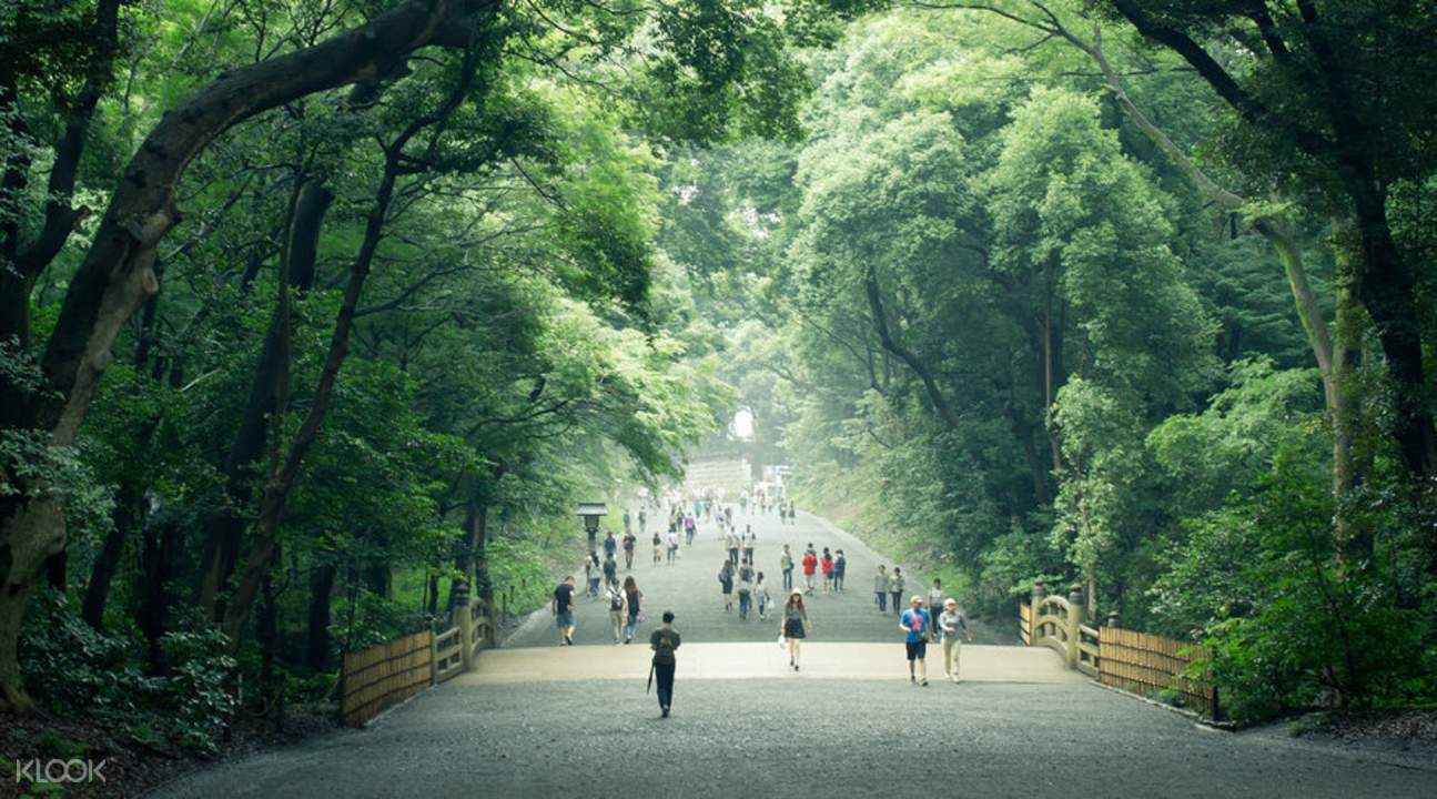 Tokyo Meiji Jingu Shrine Highlights Tour with National Licensed Guide