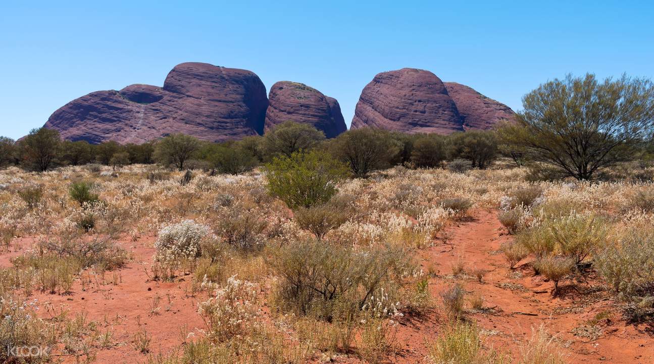 Kata Tjuta Sunrise and Valley of the Winds Tour