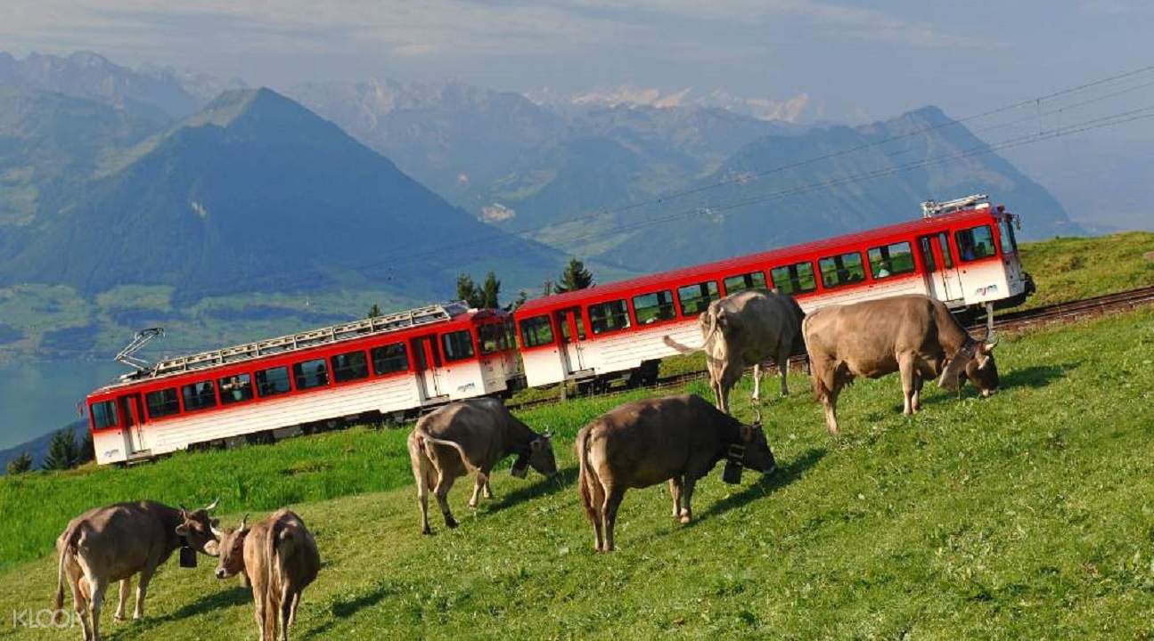 Day Trip to Mount Rigi from Zurich - Klook US