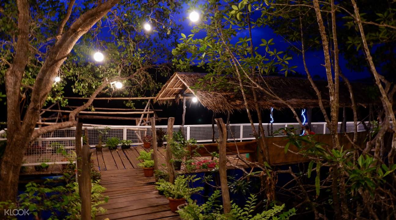 Firefly Watching in Puerto Princesa