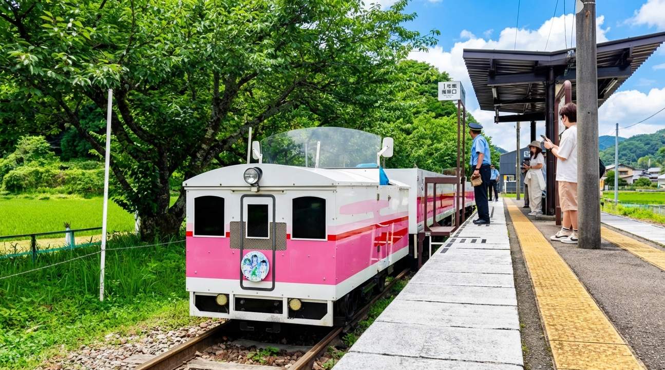 Kyushu | Kumamoto Castle & Josaien & Takachiho Gorge Day Trip ...