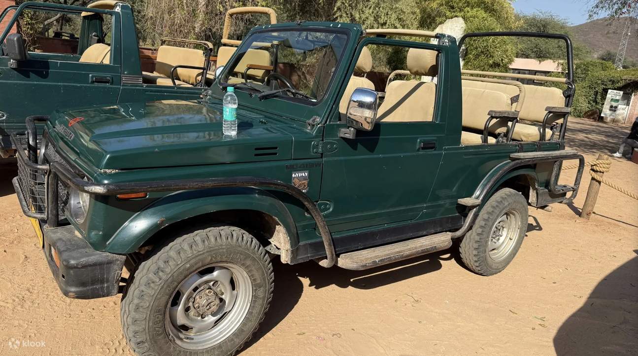 Jaipur: Jhalana Amagarh Leopard Reserve 4×4 Jeep Safari - Klook Canada