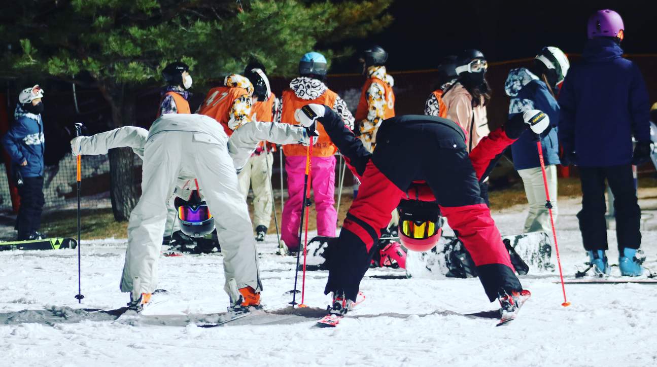 Private Ski Lessons at Alpensia resort with Professional Instructor - Klook
