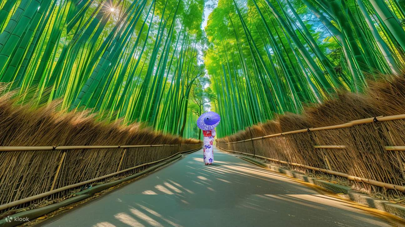 Kyoto Arashiyama Scenic and Cultural Tour and Nara Deer Fun Experience ...