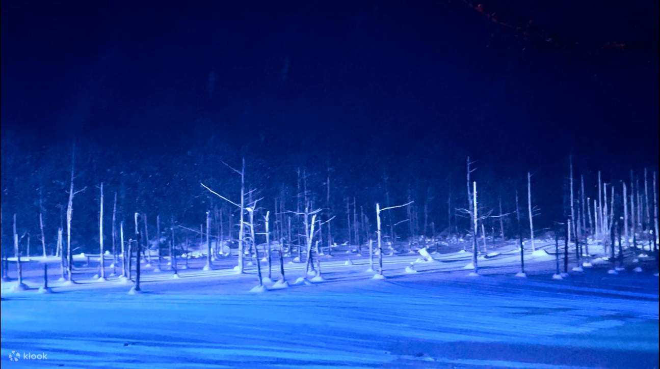 Hokkaido | Tur Sehari Iluminasi Kolam Biru Musim Dingin Biei & Air ...
