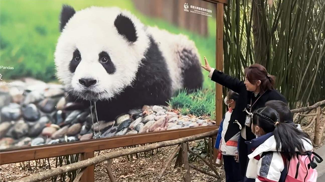 Tur Tiga Hari Jiuzhaigou & Chengdu Giant Panda Base-Grup Pribadi ...