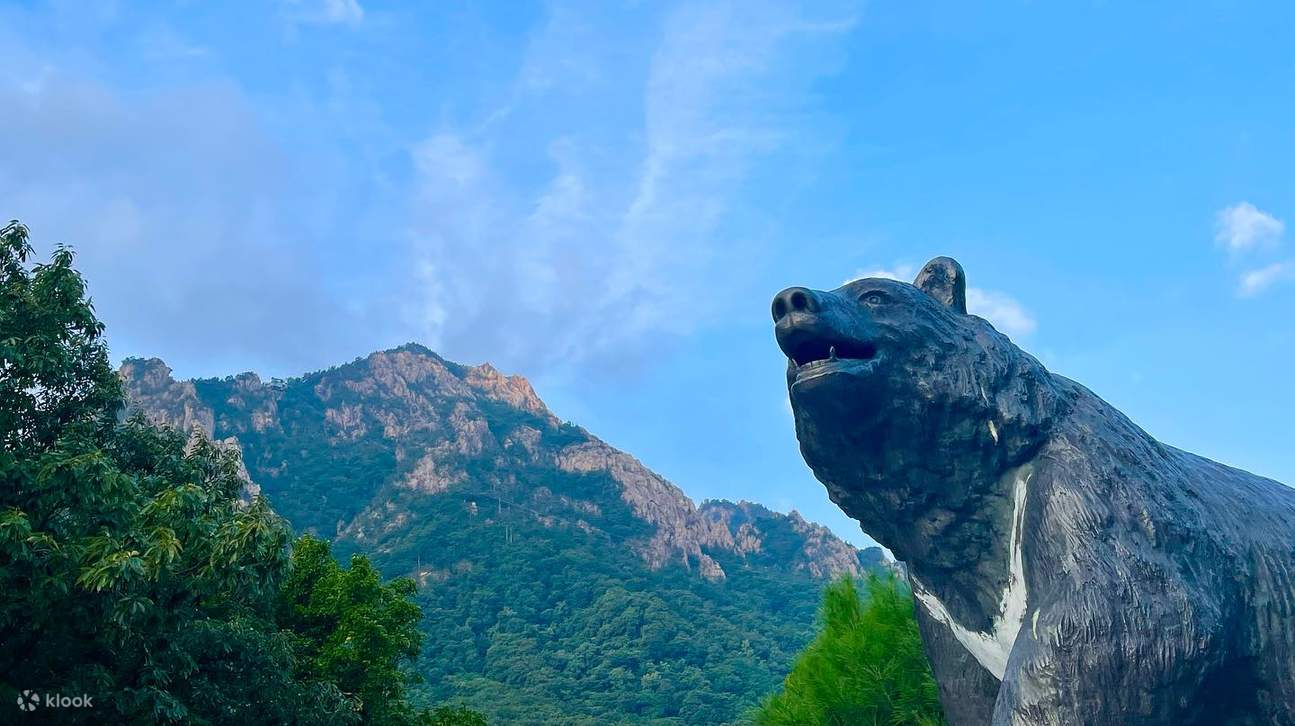 Mt. Seorak & The Tallest Ginko Tree at Yongmunsa - Klook