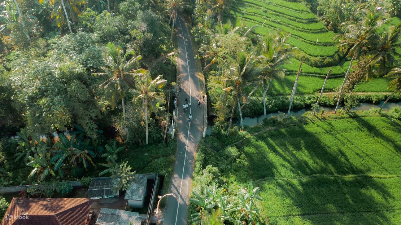 Bali Rural, Hill, and Rice fields Private Day Trekking Tour - Klook ...