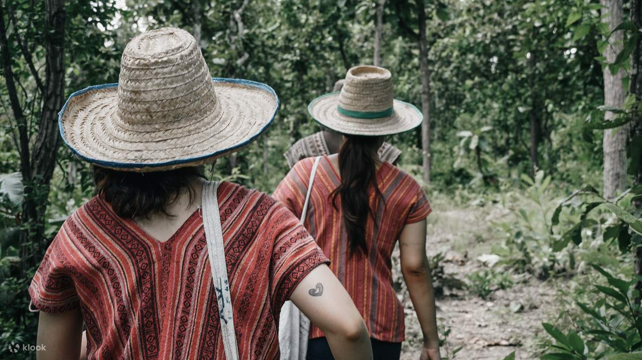 Unisciti alla Maerim Elephant Home a Chiang Mai - Klook Stati Uniti