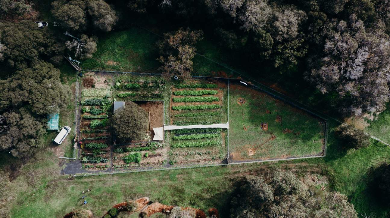 Arimia Organic Farm Tour & Lunch in Margaret River - Klook