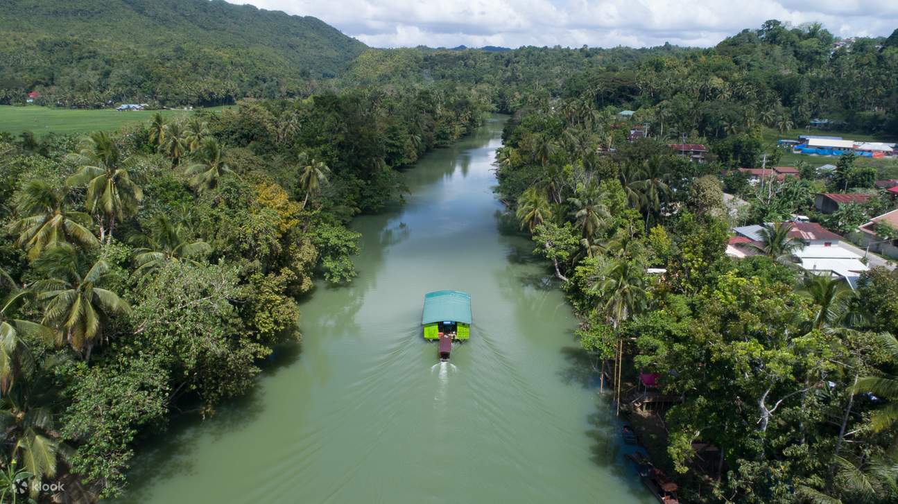 Walhai-Interaktion mit Landtour in Bohol - Klook, Vereinigte Staaten