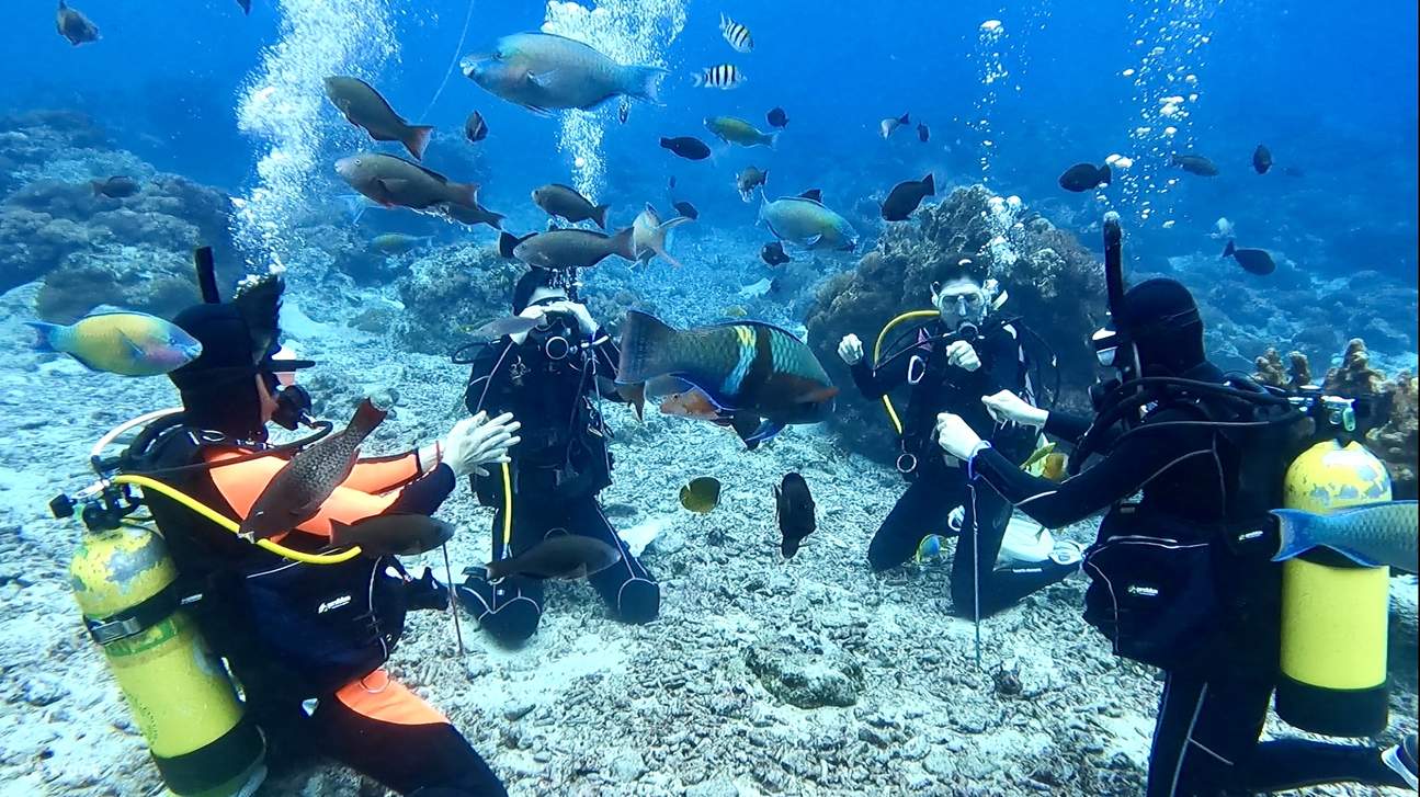 Xiaoliuqiu｜Scuba diving experience｜Qinglv Bubble Diving Resort Center ...