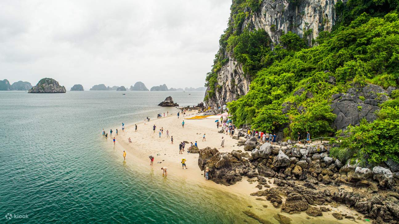 2D1N Halong Bay and Tuan Chau Island Tour from Hanoi - Klook