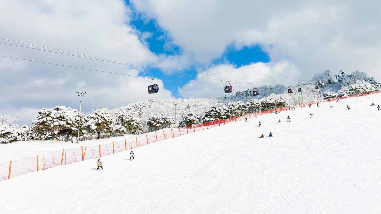 Nami Island Winter Highlights: Vivaldi Ski Resort Day Tour - Klook Canada
