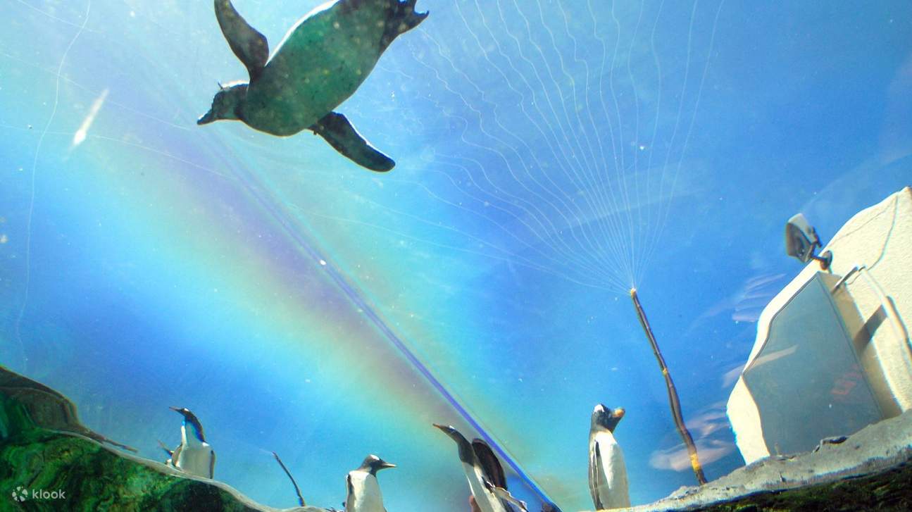 Hokkaido, Sapporo, and Furano Biei Join In Day Guided Tour with ...