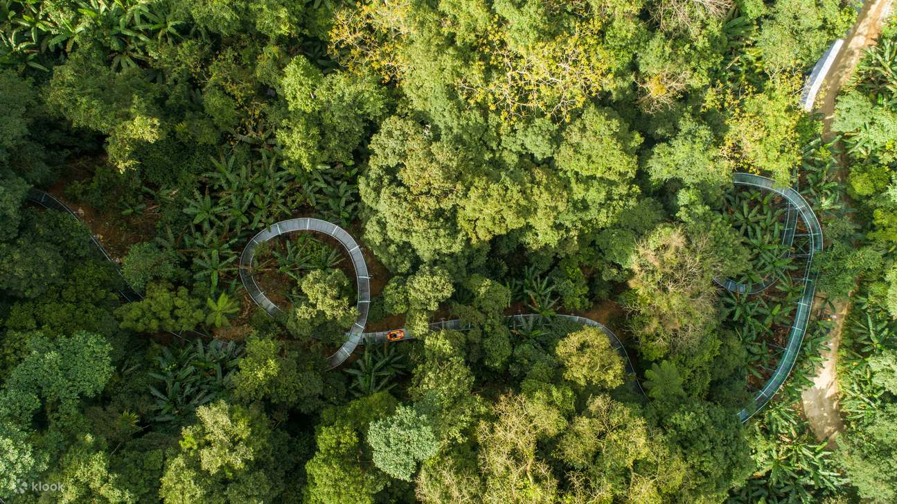 Hainan Baihualing Tropical Rainforest Cultural Tourism Area - Klook