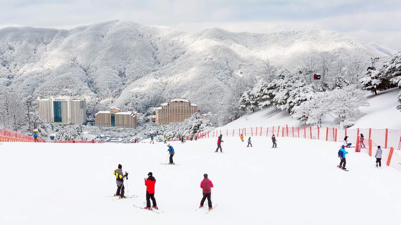 Vivaldi Park Snowyland & Eobi Ice Valley Day Tour from Seoul - Klook ...