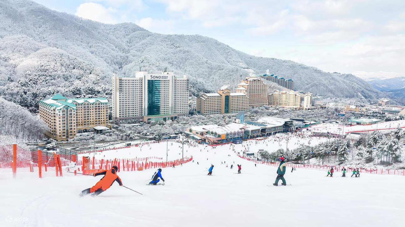 Nami Island Winter Highlights: Vivaldi Ski Resort Tagestour - Klook ...