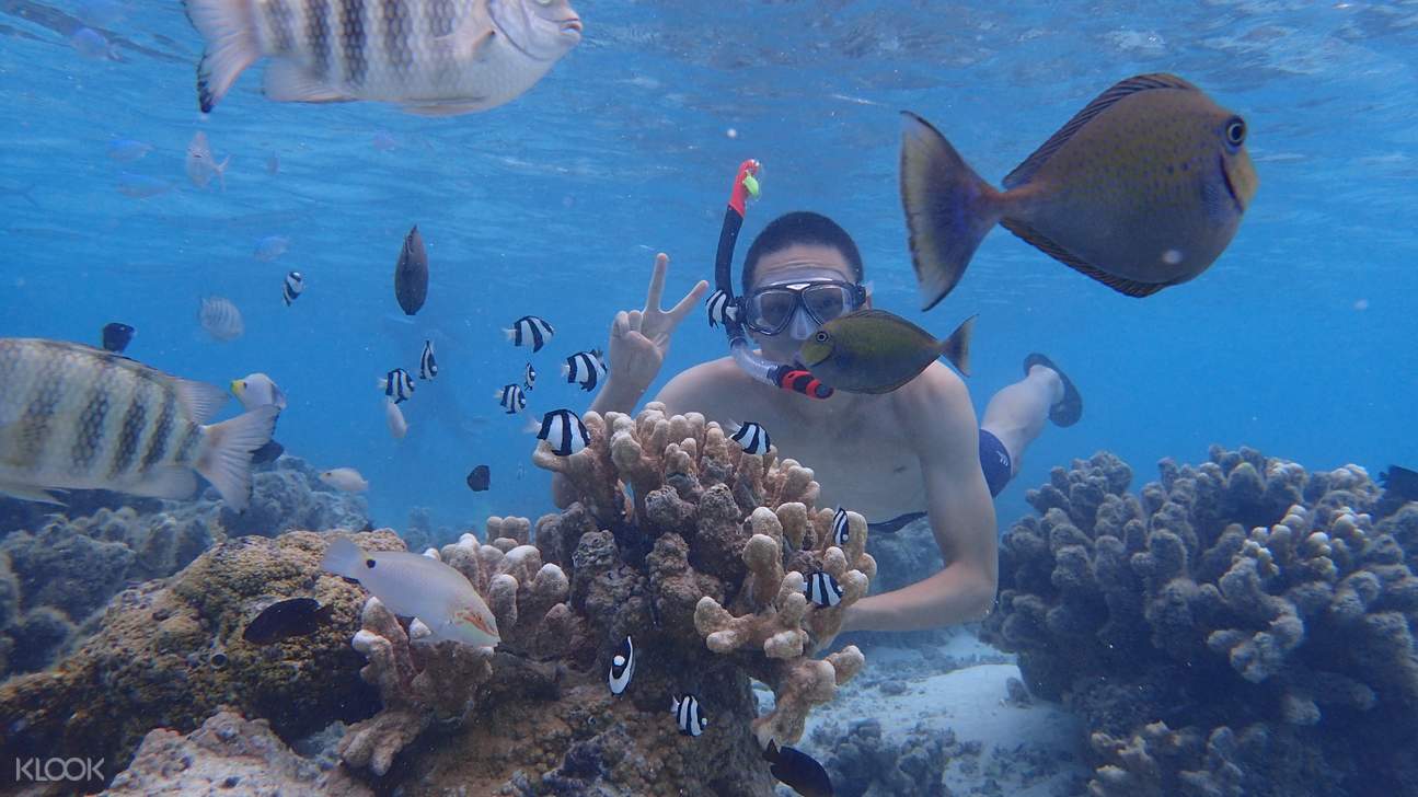 Saipan Managaha Island Water Sports Adventure - Klook