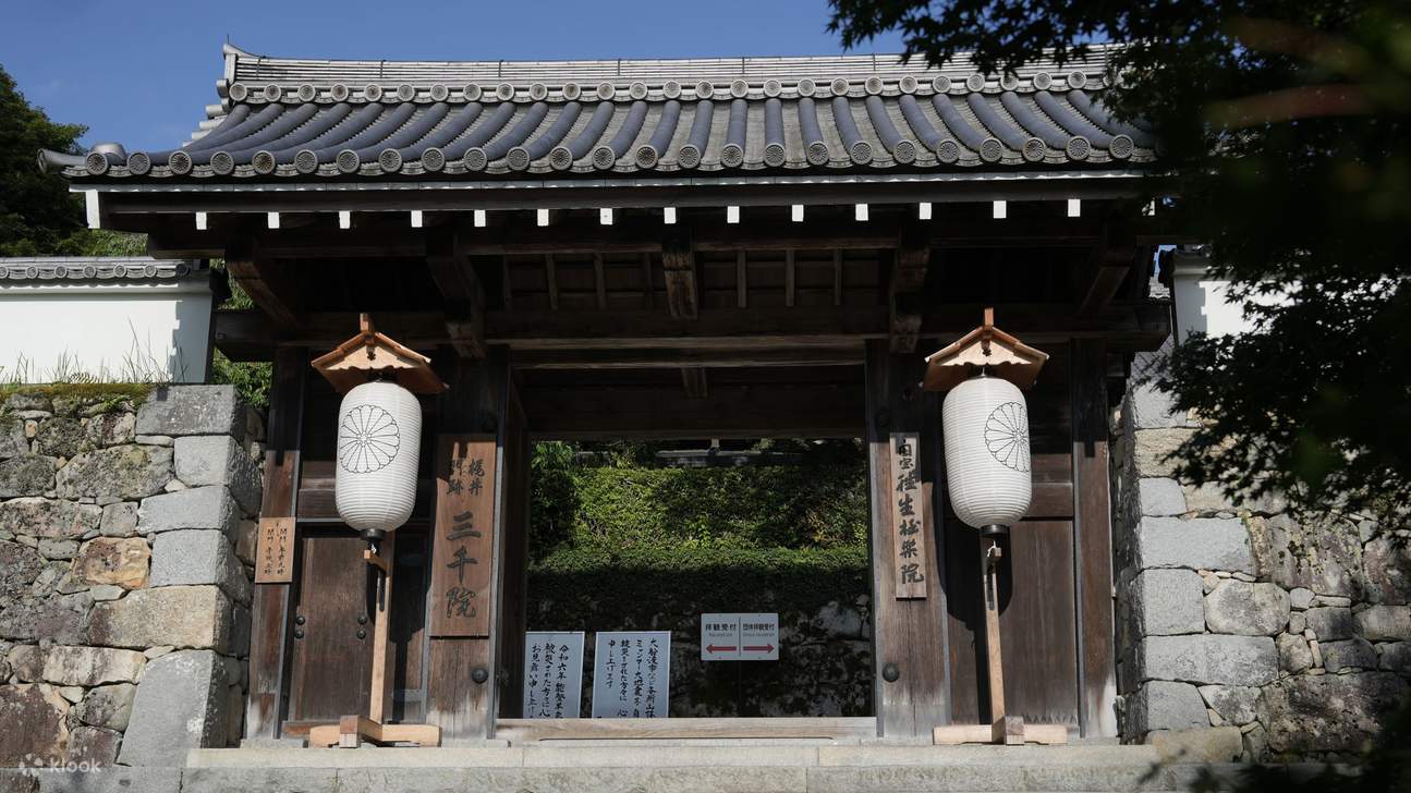 Kyoto: Tour di un giorno alla Foresta di Bamboo di Arashiyama, al ...