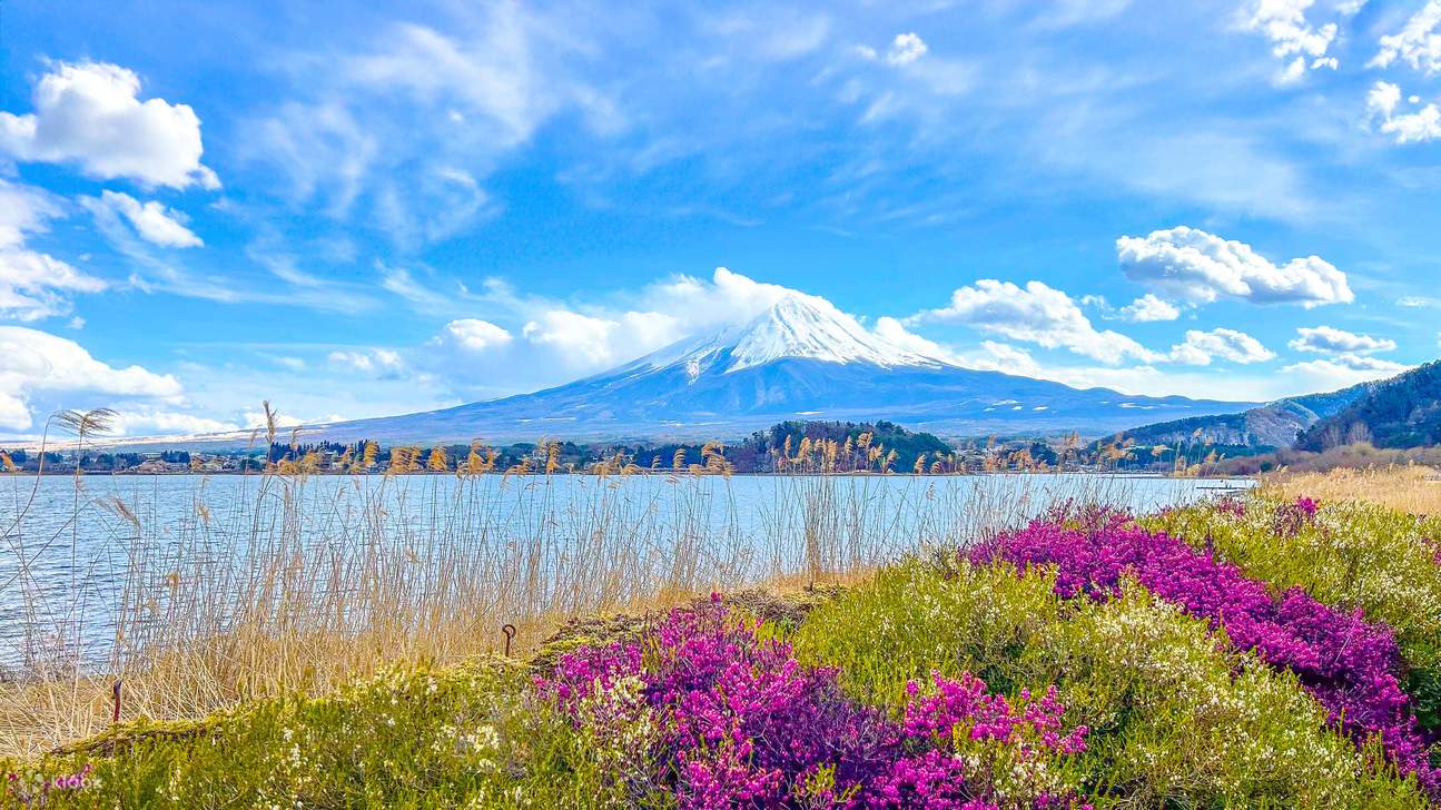Desde Tokio: Monte Fuji, Kamakura, Lago Ashi y Oshino Hakkai - Klook Estados Unidos