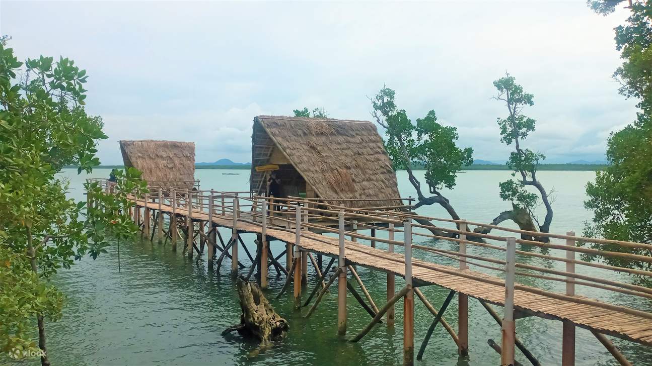 Carbin Reef Island-Hopping Tour - Klook Philippines
