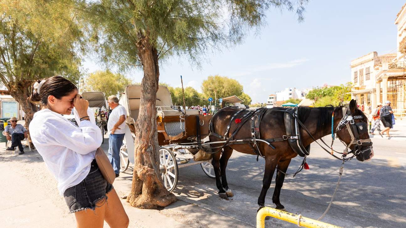 Aegina, Agistri & Metopi cruise tour with lunch from Athens - Klook