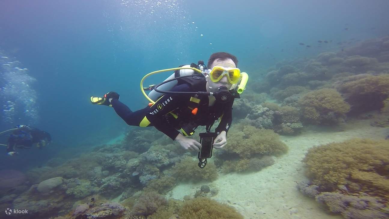 Experience PADI Try Scuba Diving in Mindoro with a PADI 5 Star Dive ...