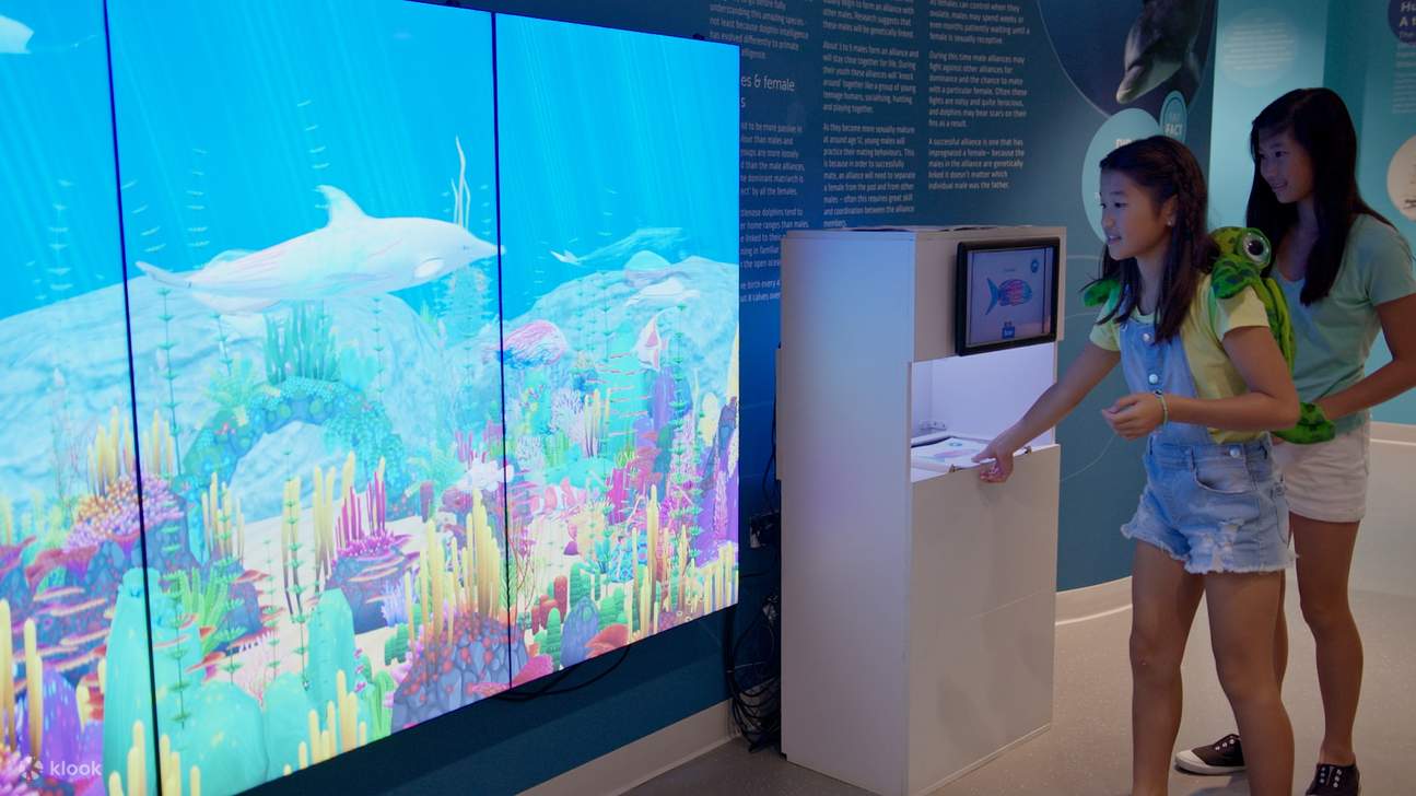 Dolphin Discovery Centre Ticket - Klook Malaysia