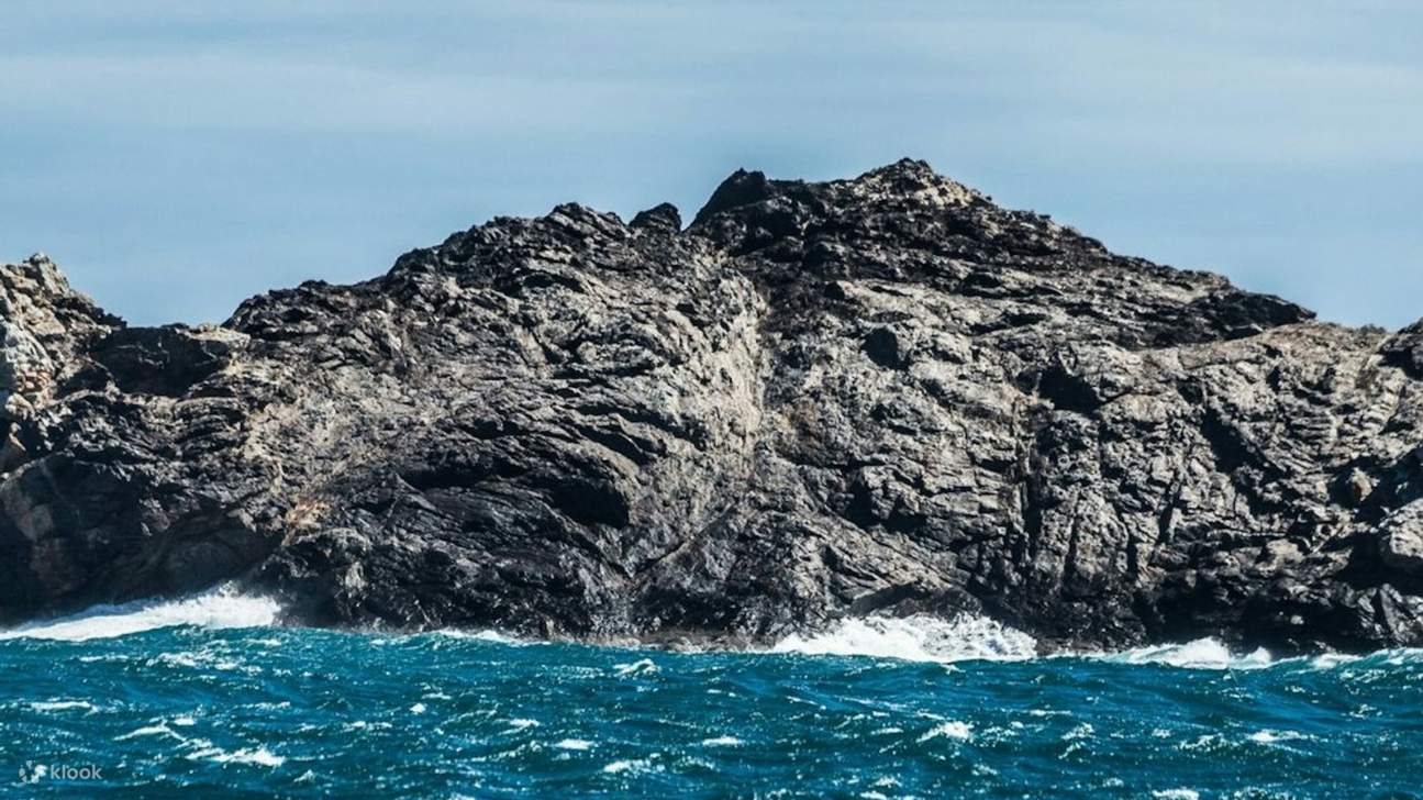Catamaran cruise experience in Cap de Creus, Cadaques, & Portlligat - Klook