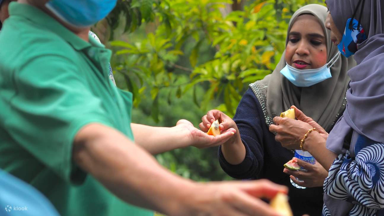 Penang Tropical Fruit Farm Join In Walking Tour - Klook