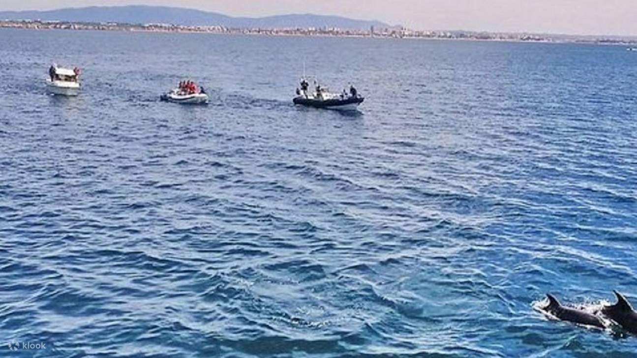 從波爾蒂芒出發的貝納吉爾洞穴和沿海環行遊船之旅 Klook 客路
