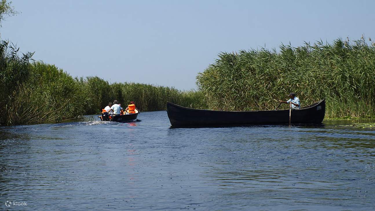 Wild Danube – One-Day Trip in the Delta with Local Guide and Boat ...