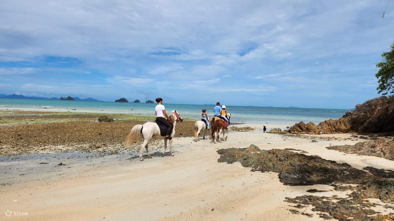 Koh Samui: Sunset Trail Horse Riding on The Beach - Klook Malaysia