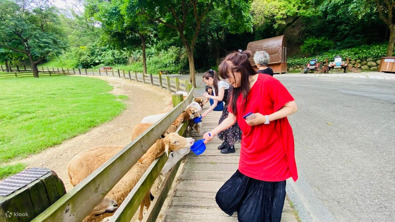 Flying Cow Ranch Ticket in Miaoli - Klook Singapore